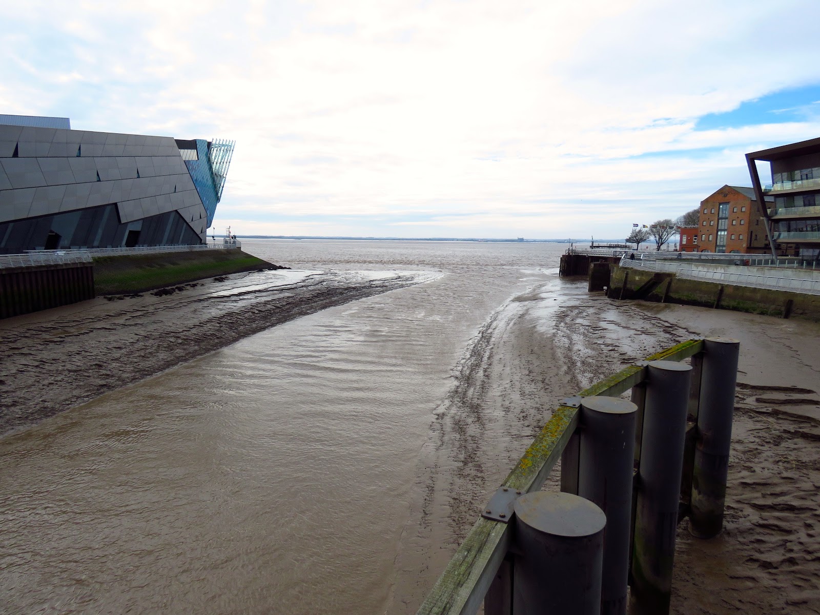 Wild at Hull: Walking the Humber. Stage 5. River Hull to Alexandra Dock