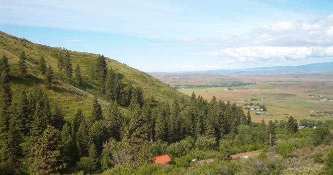 Pro Libertate: Open Range, Open Season: The Killing of Jack Yantis ...