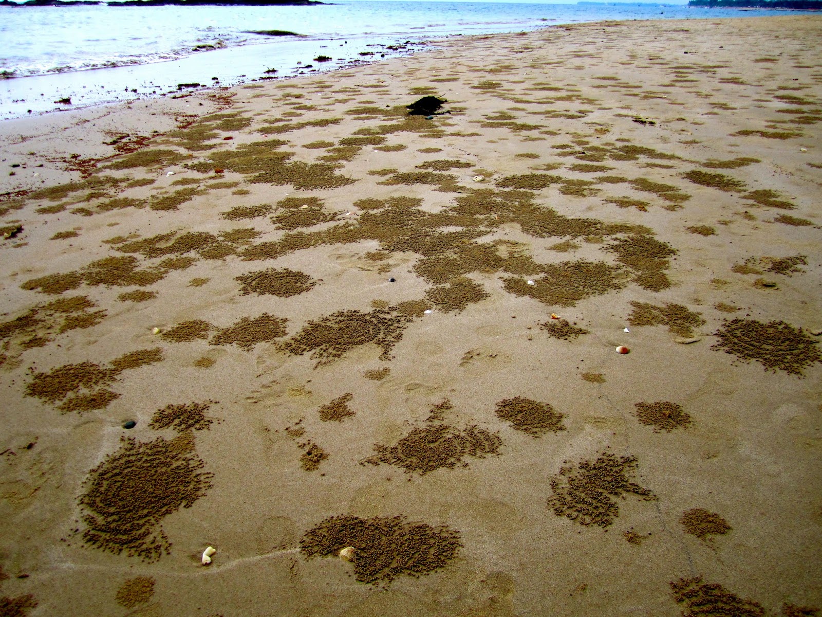 Kupera ja Kovera Aasiassa: Kups&Kops, Khao Lak Thaimaa, day 41