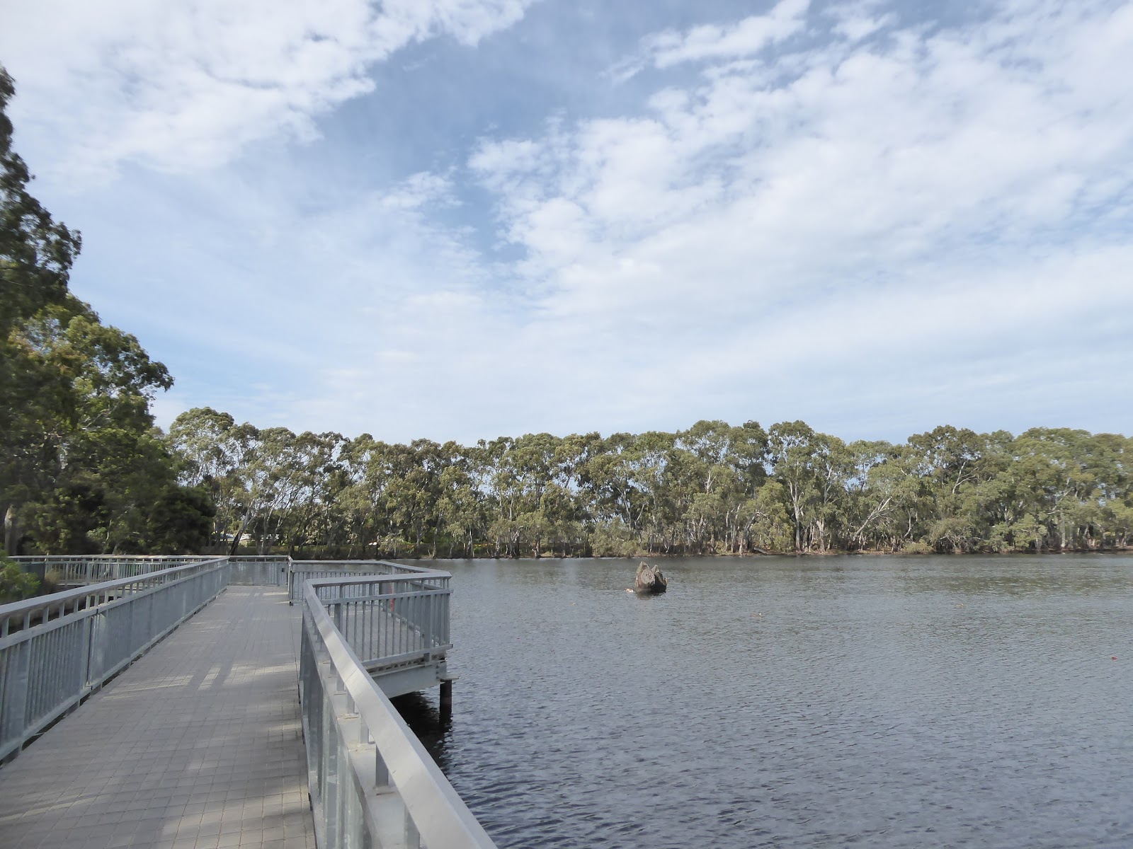 Luvapuzzle: Wynn Vale Dam Walk 5/11/19