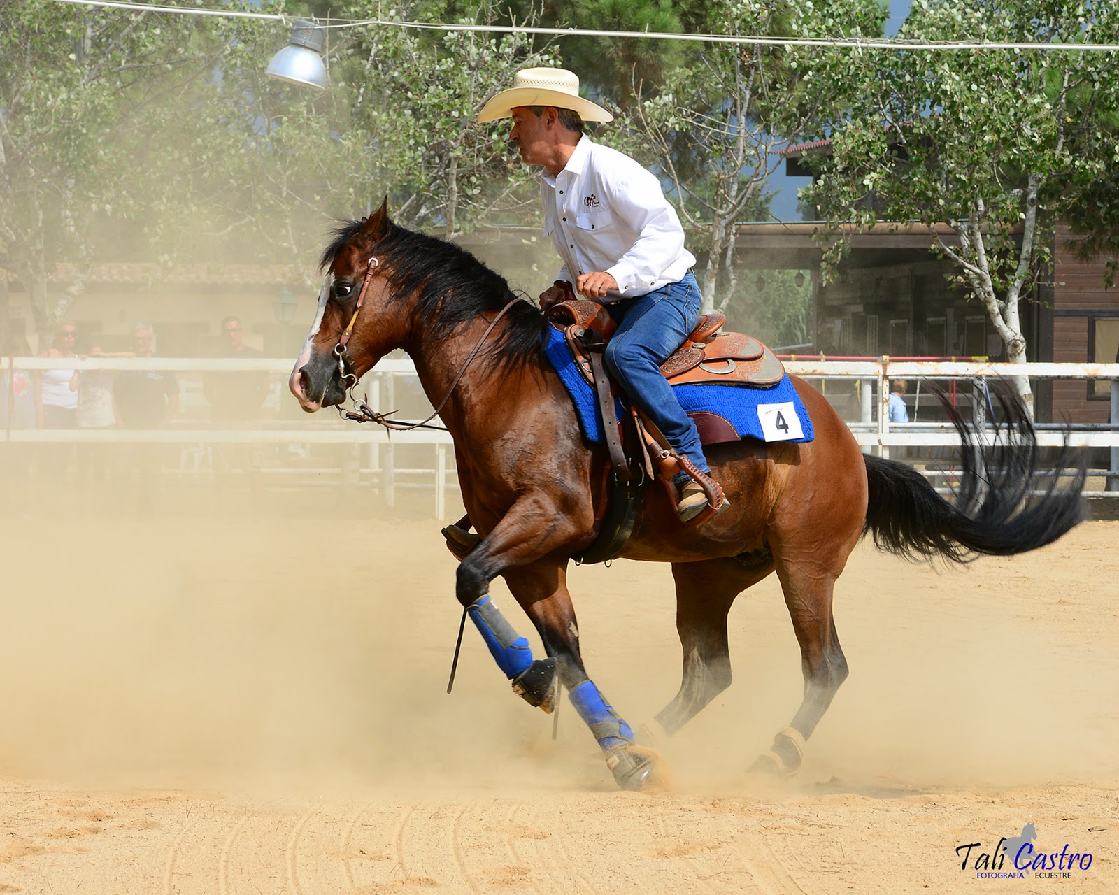 Fotografia Ecuestre: Campeonato de Catalunya de Reining