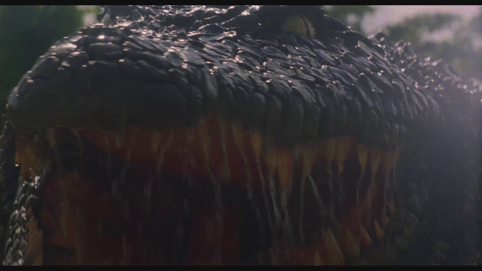 Cool Ass Cinema: Killer Crocodile (1989) review