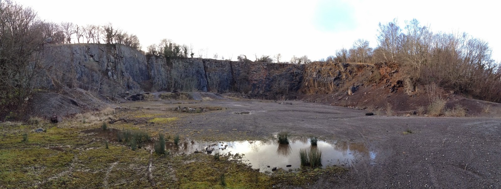 Hedge Finders: January 2015