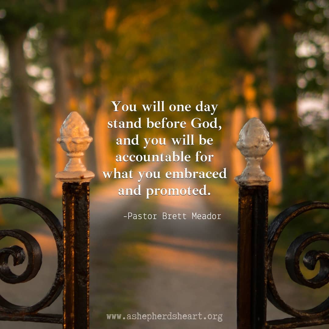 A Shepherd's Heart: You Will Be And Are Accountable To God.