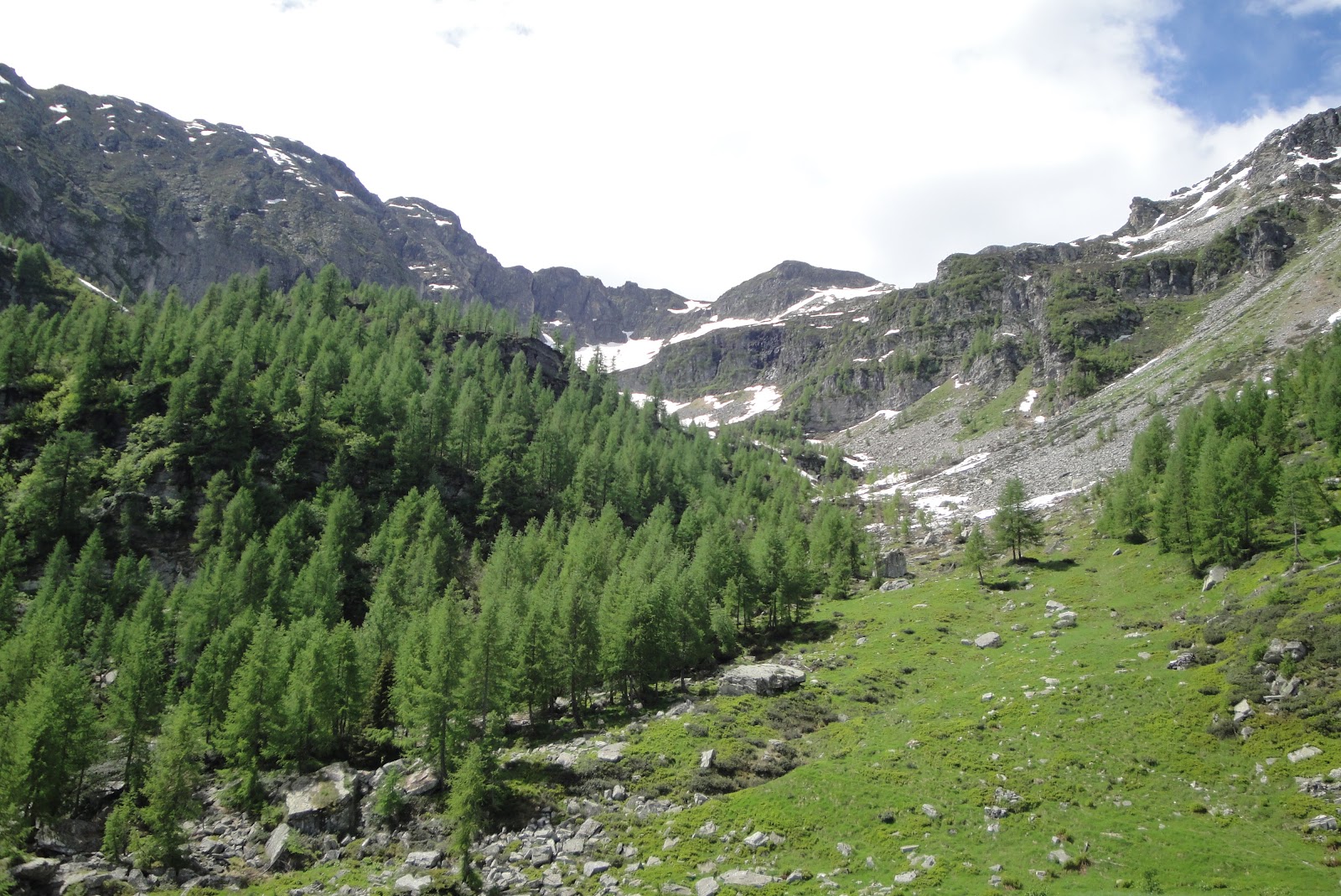 Alpe Cross: Alpi di Albiona - (Val Divedro)