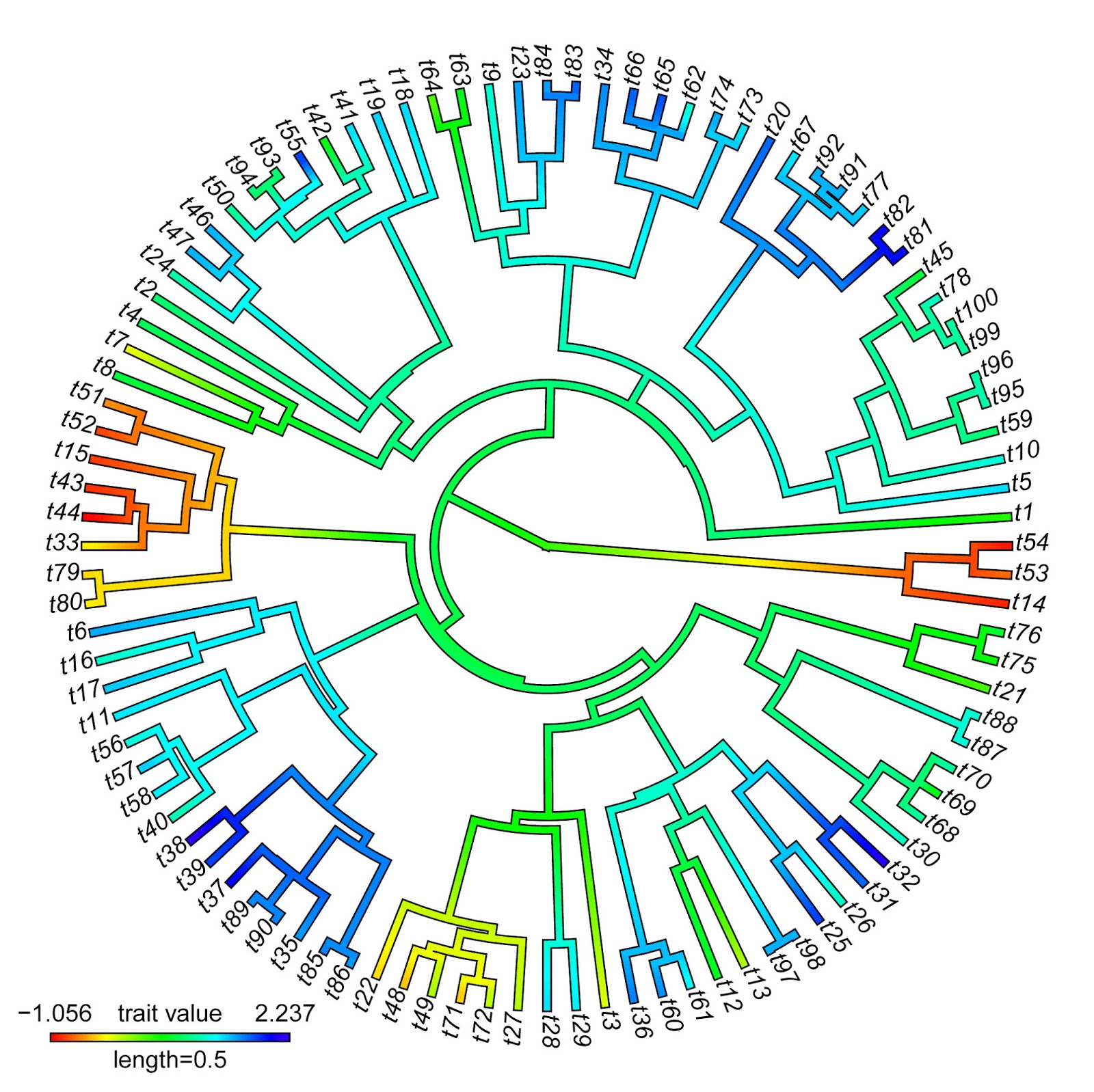 Phylogenetic Tools for Comparative Biology: Circular trees in ...