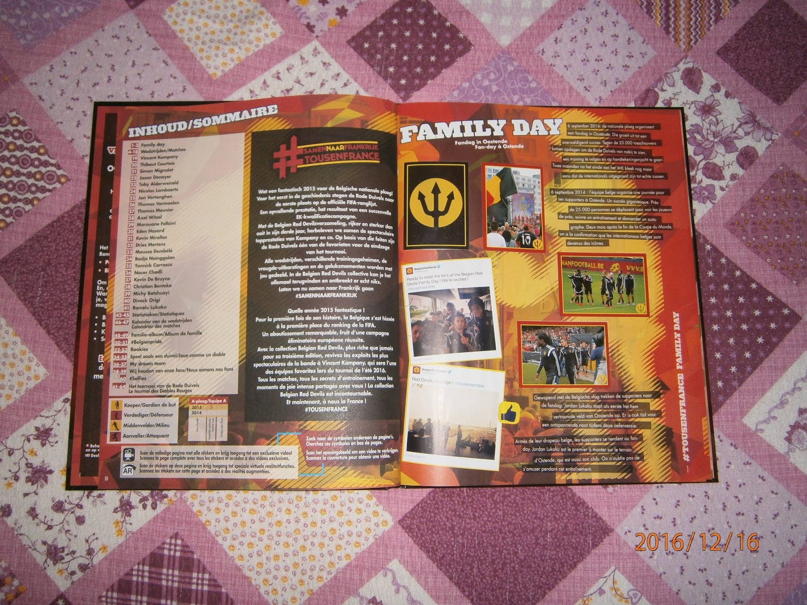Collezionista Panini: Belgian Red Devils 2016 - #Tousenfrance - Panini ...