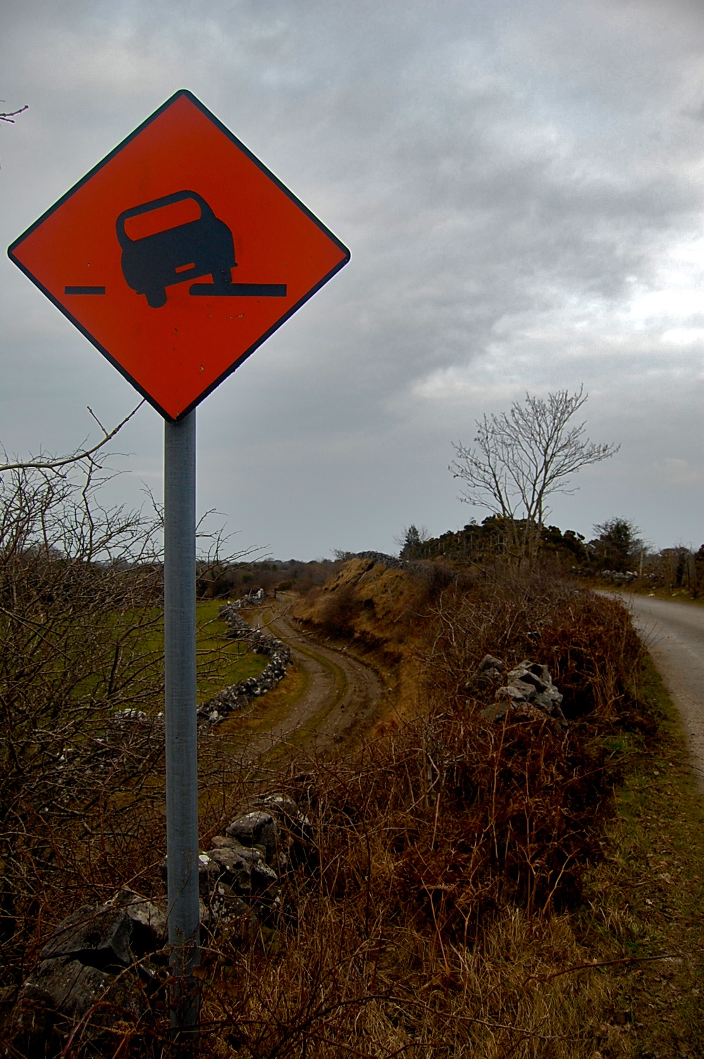 CaptureTheFree: Documentary