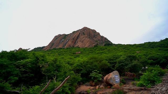 NAKARAJAN: PARAMBU MALAI ALIAS PRAN MOUNTAIN