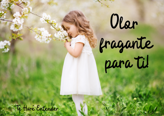 Te Haré Entender...: OLOR FRAGANTE PARA TI!
