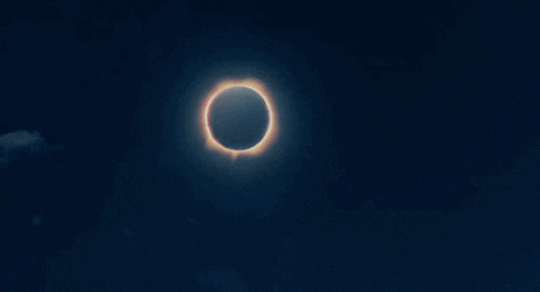 Centauros de la pantalla: Apocalypto