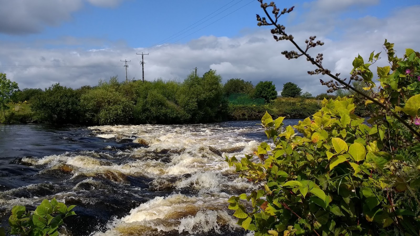 A Passion For Cards: Foxford, Co. Mayo