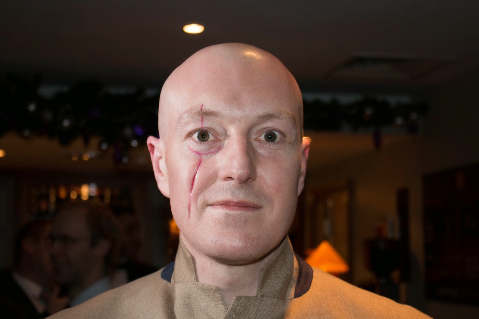 bolingblog: Blofeld Costume: Blofeld Costume