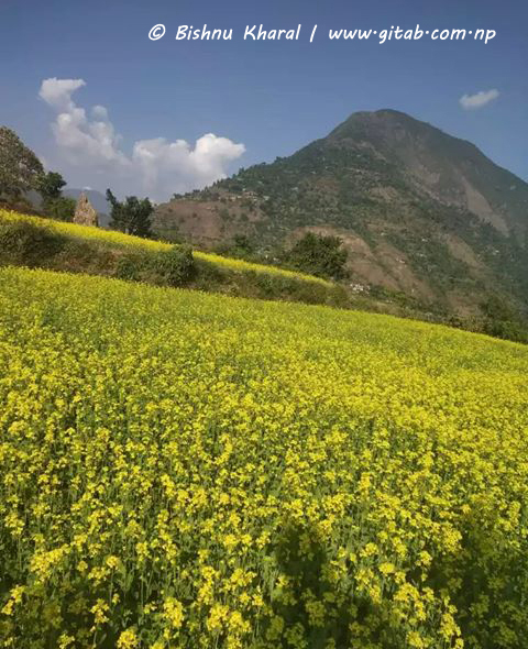 Beautiful Gulmi in the Photos - GITAB » Online Loksewa Test