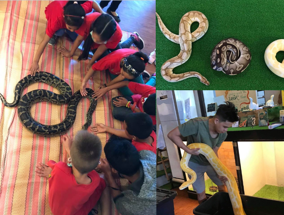 This reptile-themed cafe in Bacolod is the best spot to hang out with ...