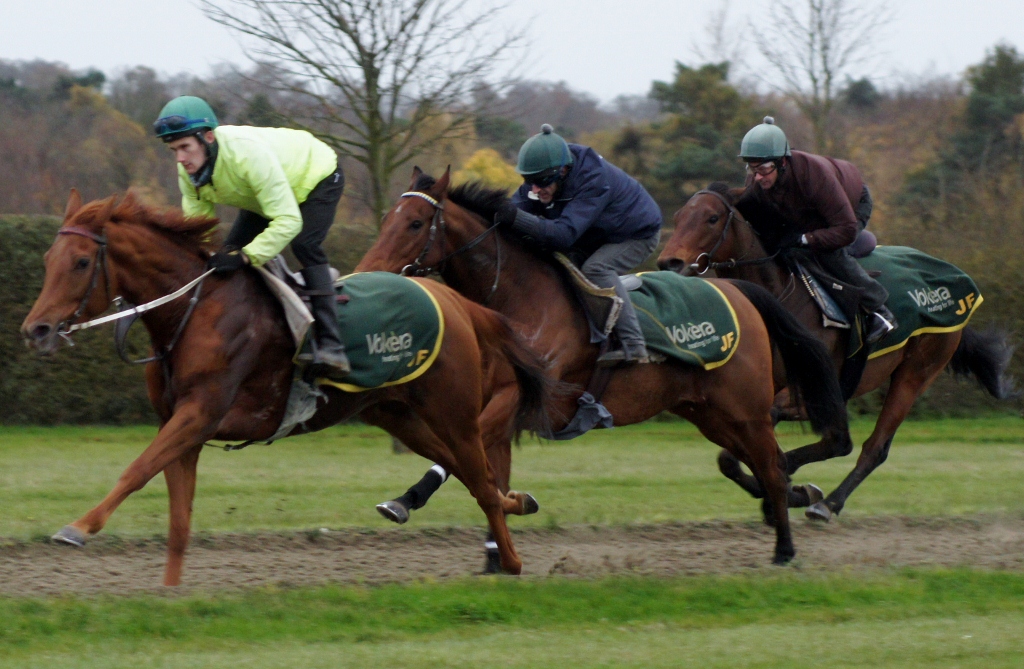 Julia Feilden Racing: RIP Pat