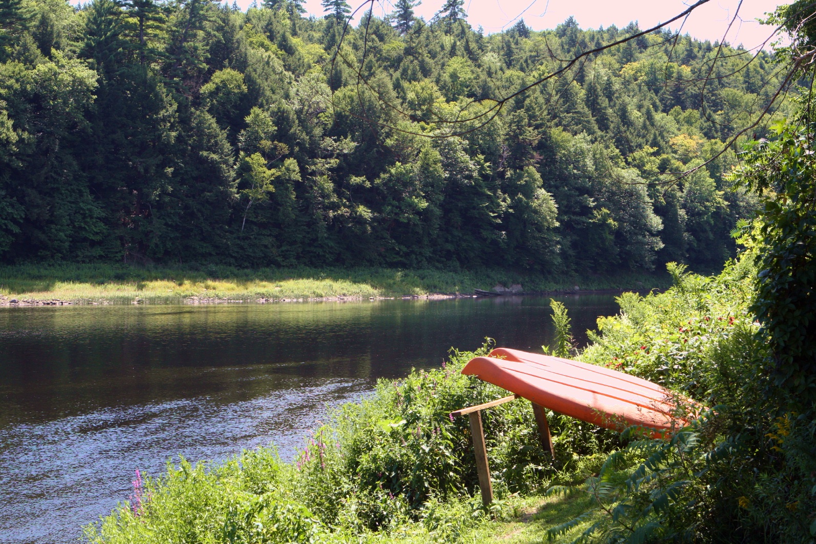 1st Park of the Year to Open! - Wilgus State Park