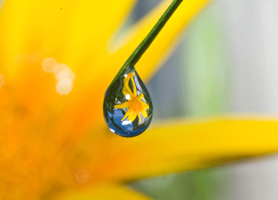 Examples Of Emphasis In Photography