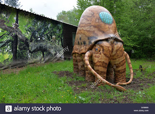 koloss kalmar - Germany News Collections