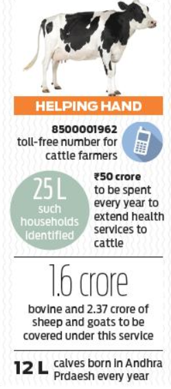 AP Cattle Health Card Scheme 2024 Apply - YSR Pasu Bhima Padhakam ...