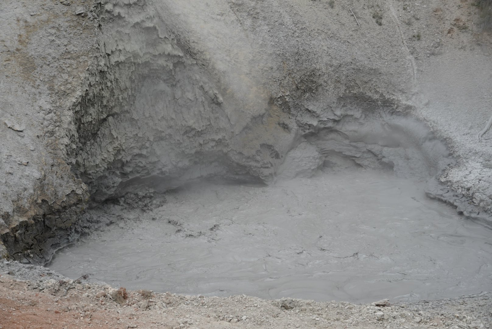 The Canadian Chronicles: 2020