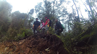 Gunung barus atau Deleng Barus Tanah Karo, Sumatera utara