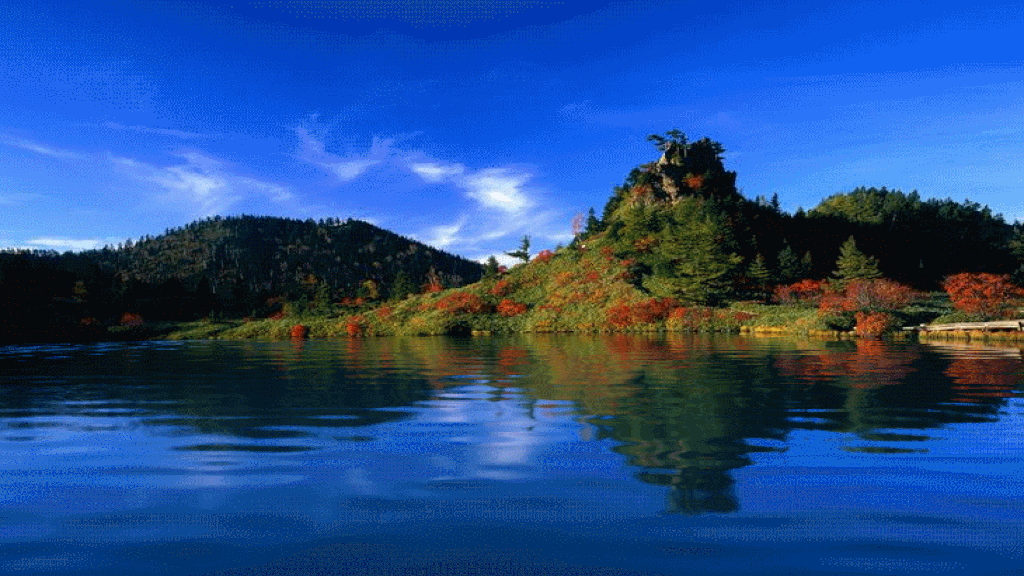 Nature looks beautiful... animation gif - Point of view
