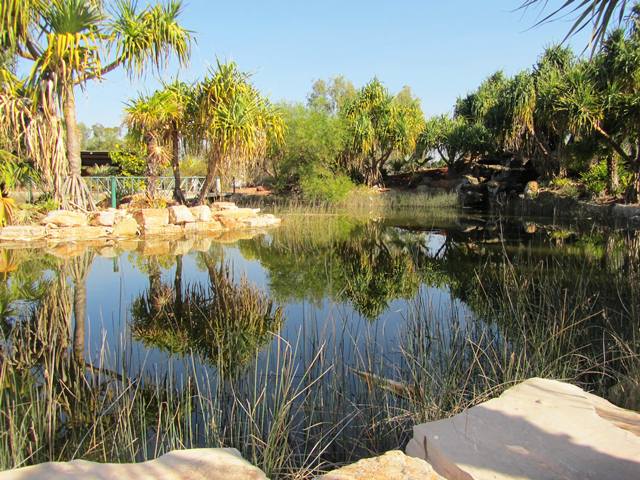 Wilkinson Wanderings: Mount Isa