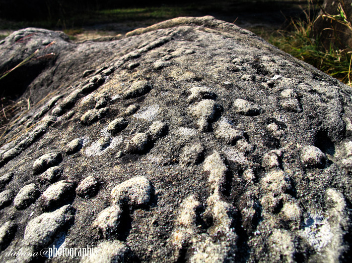 Photographis: Romanian Trovants - Living Stones