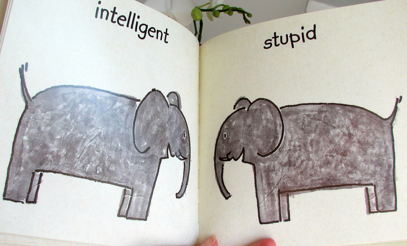 >> Poza Rozkładem: Na deser: "elephant elements"