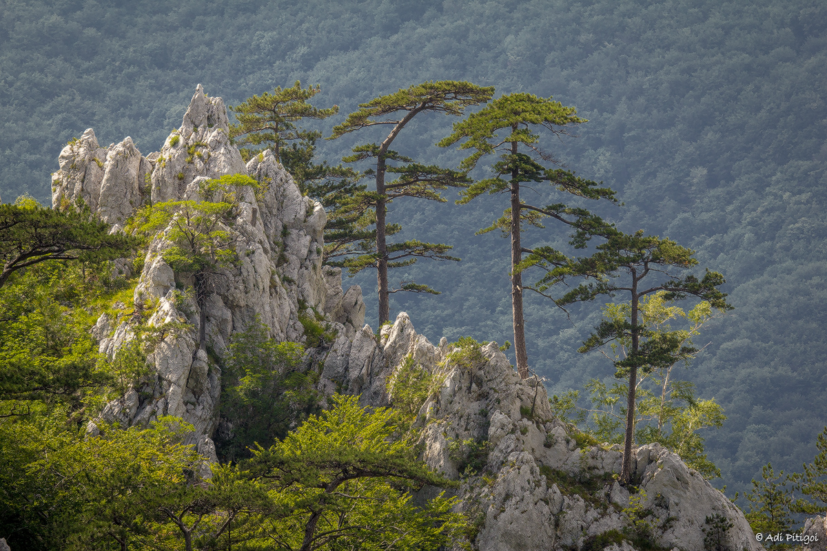 Valea Cernei: Cheile Țăsnei, cascada Vânturătoarea și izvoarele calde ...