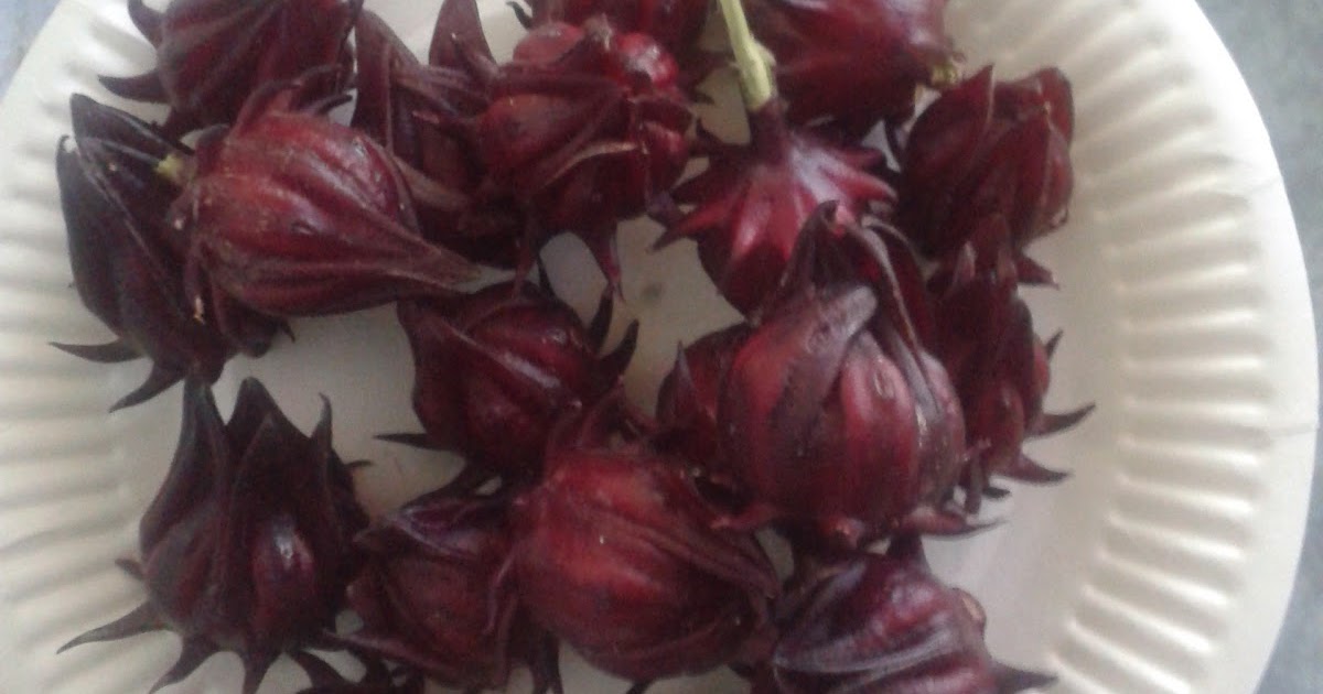 Me & My Life: Rozel :: Step-by-step jus