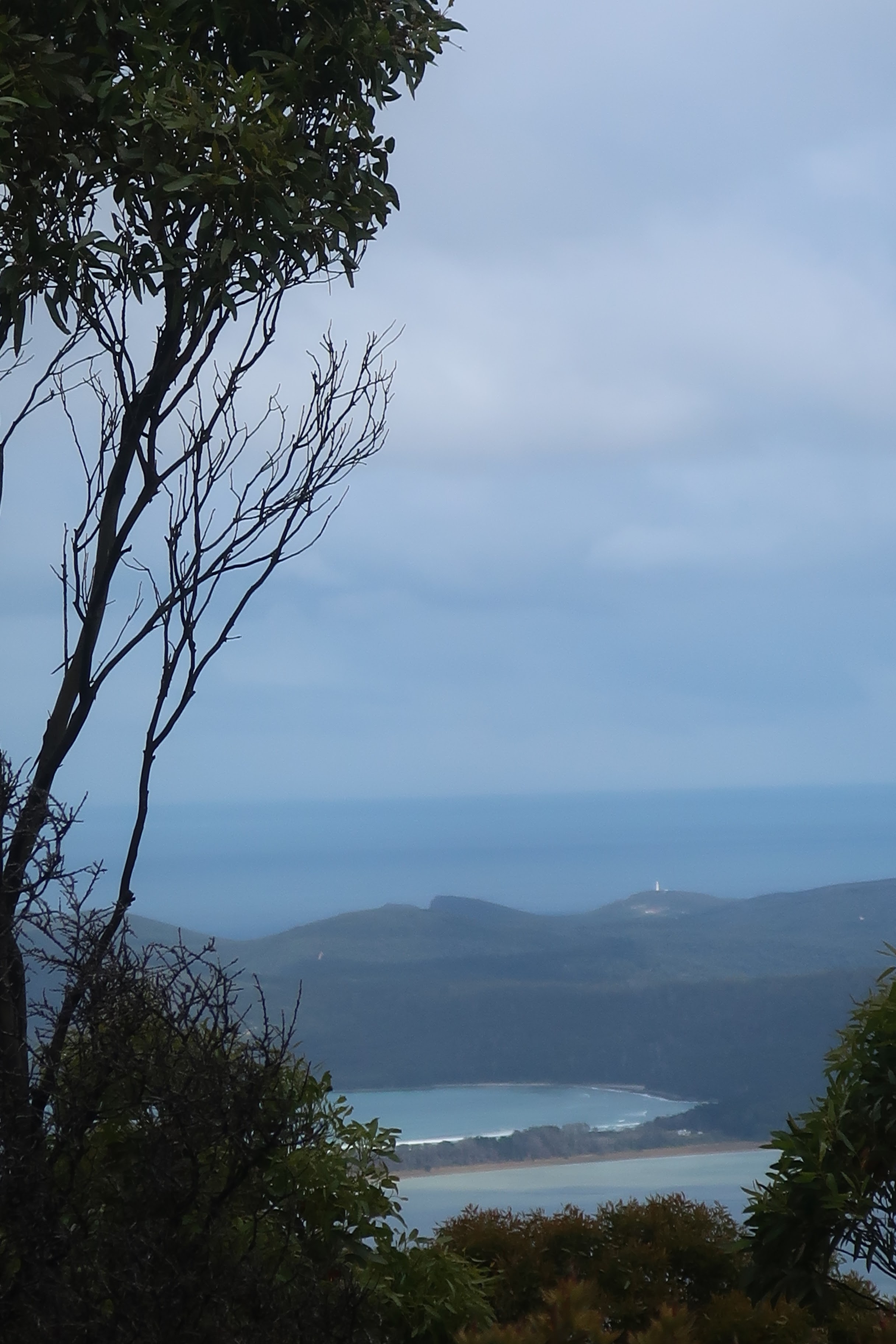 Ramblers : Mount Mangana