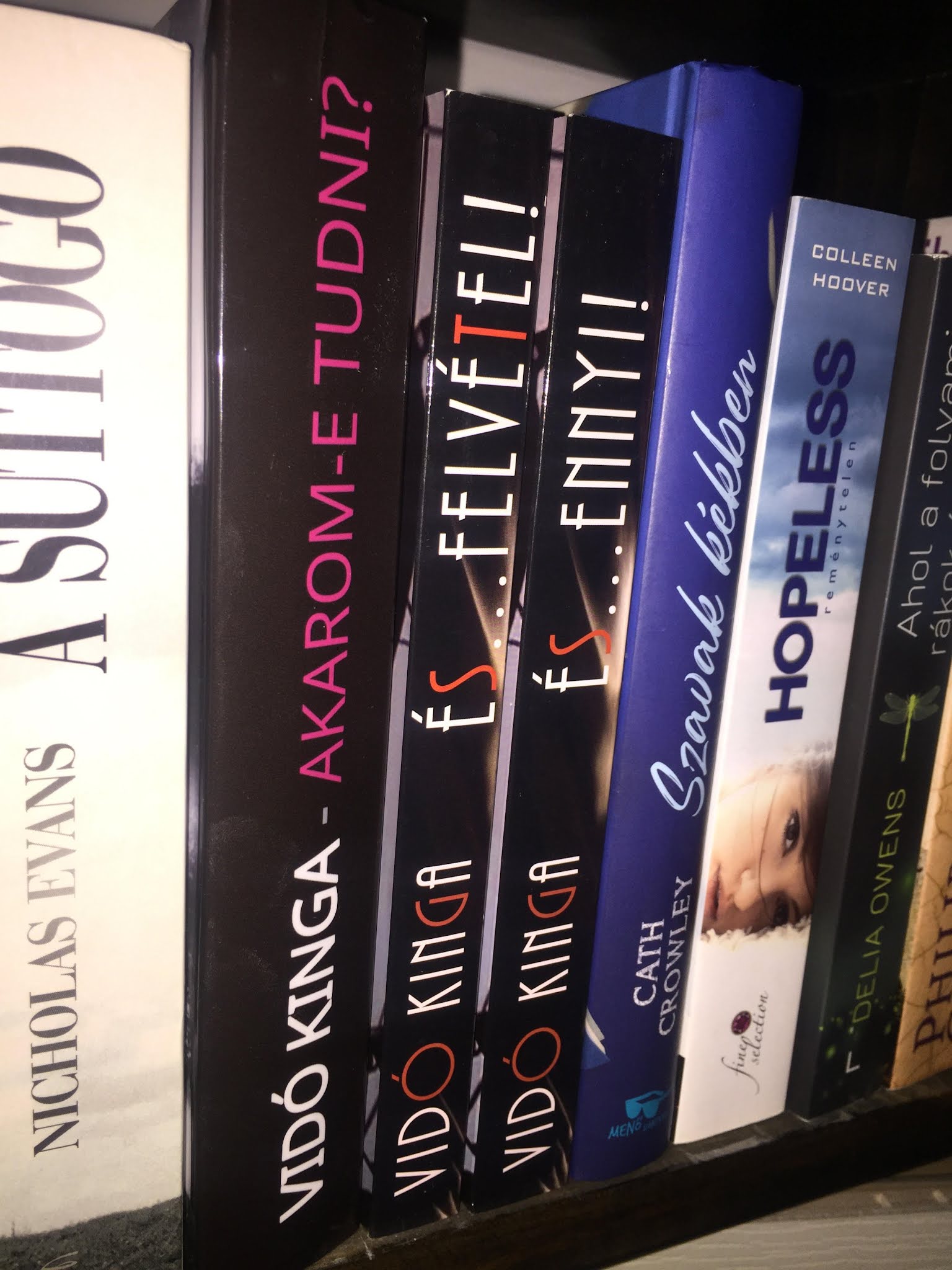 Magyar Szerzők Könyvei Blog: Ismerjük meg közelebbről a szerzőket! Vidó Kinga - ("Általában ...