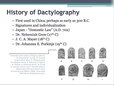 AnthroScopes : Sporadic Snapshots from around the Globe: An Overview of ...