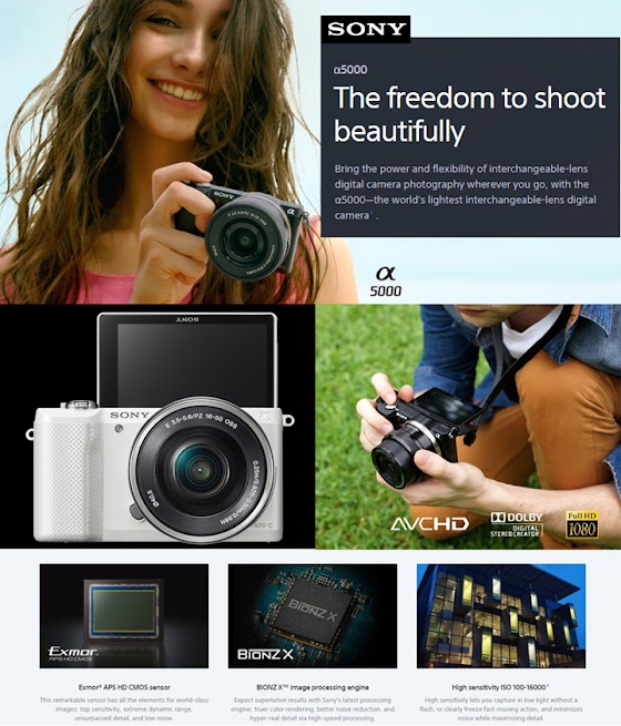 BETTER FINDS: Bow and Tie