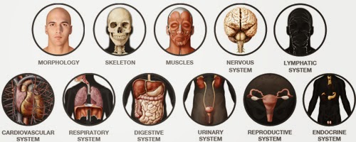 Bio-English: Human body. Human health