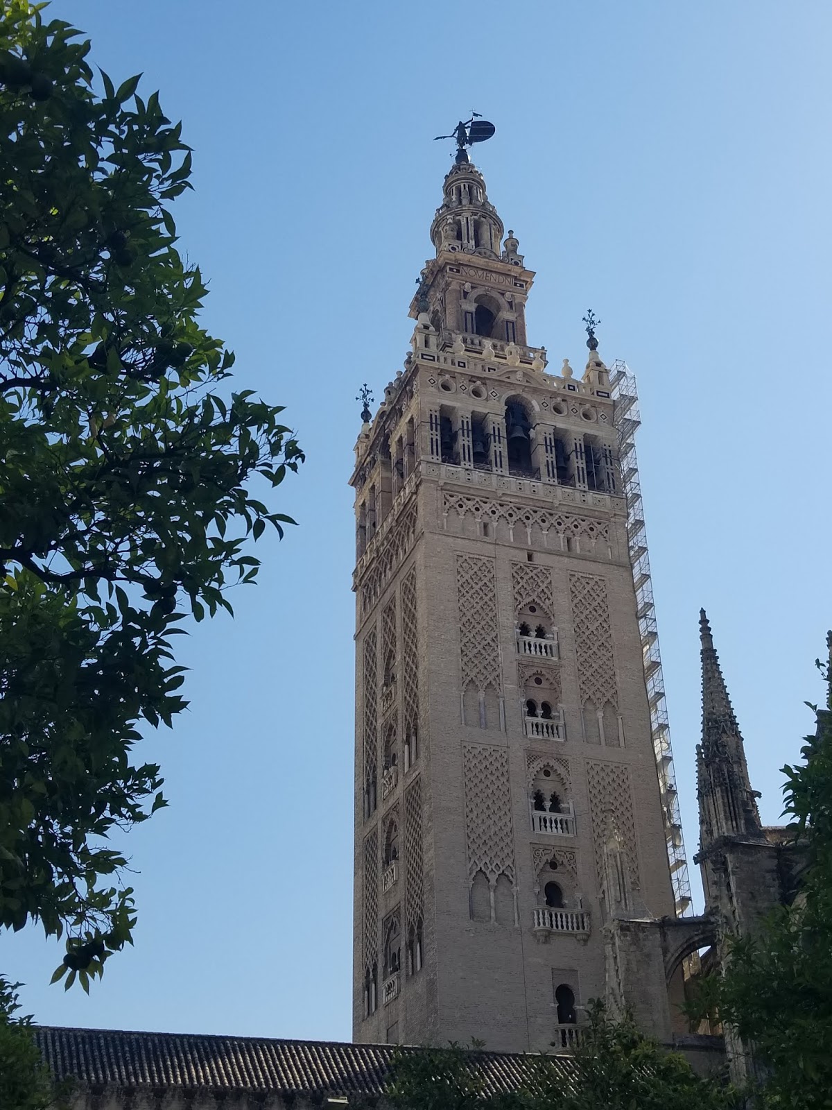 The World's Largest Gothic Cathedral