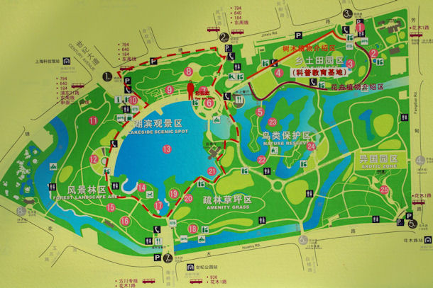 Excursiones por Shanghai