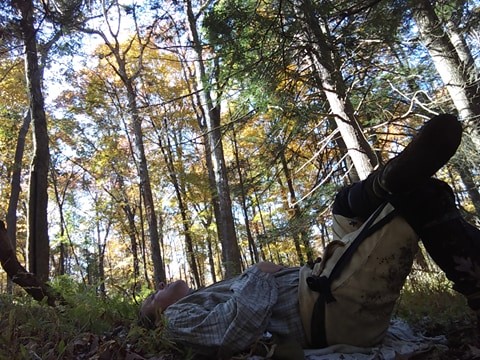 The Buffalo Trace 1765: Raccoons, Unappreciated Hero of the Fur Trade