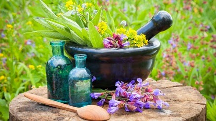 Vida y Salud Natural: La Alopatía y Homeopatía