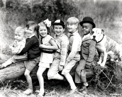 EL HOMBRE QUE MATO A LIBERTY VALANCE: AMERICAN PIT BULL TERRIER ...