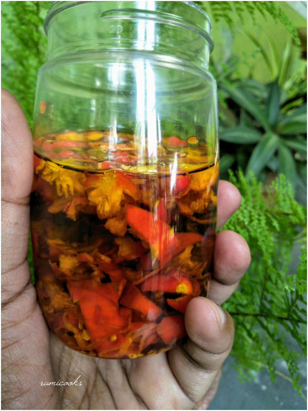 Bhoot Jolokia Pickle / Ghost Chilli Pickle