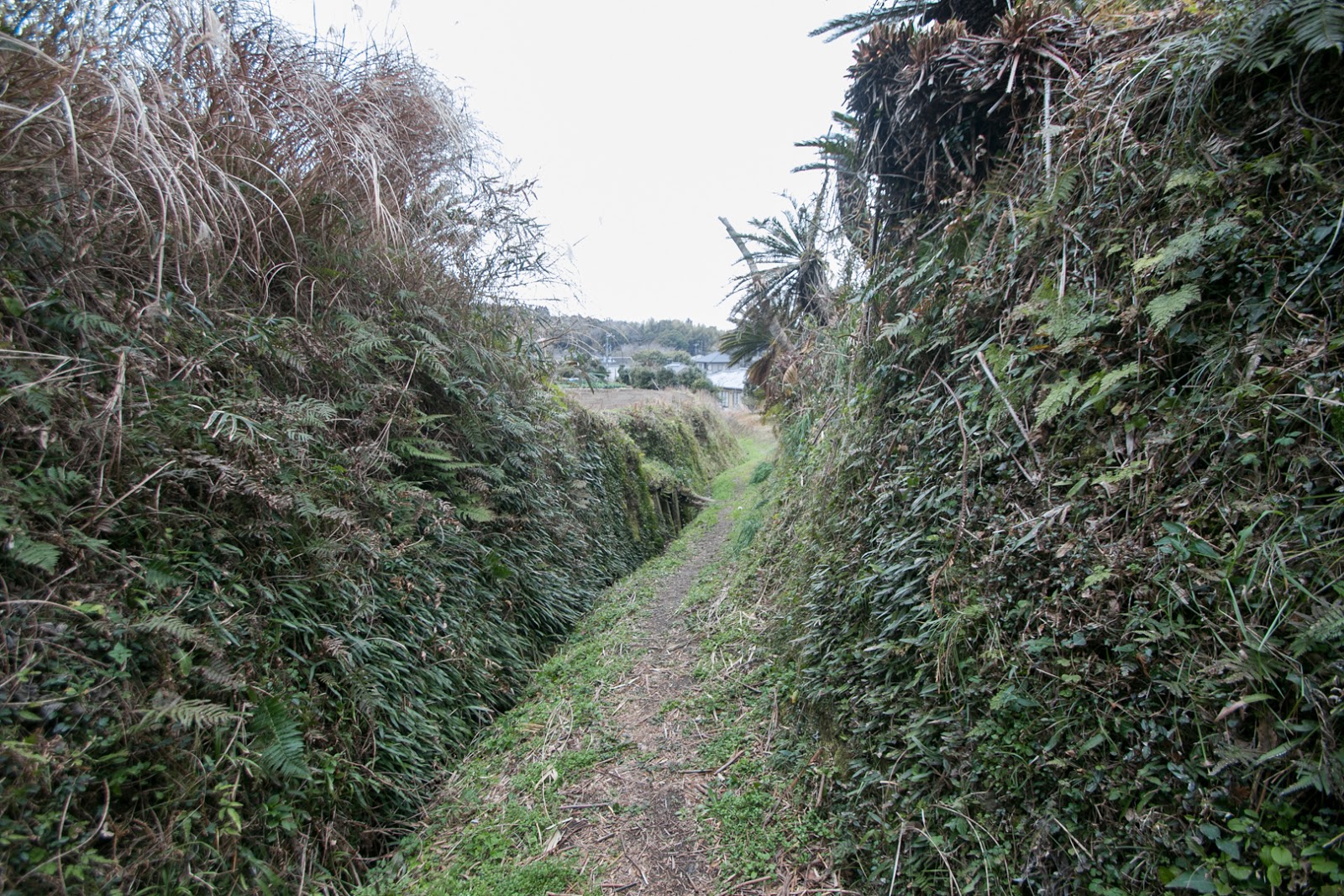 Inamura Castle -History of peninsular brave (2) Coup d'etat erased from ...