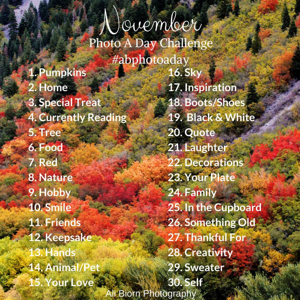 November Photo-A-Day Challenge - Ali Biorn Photography