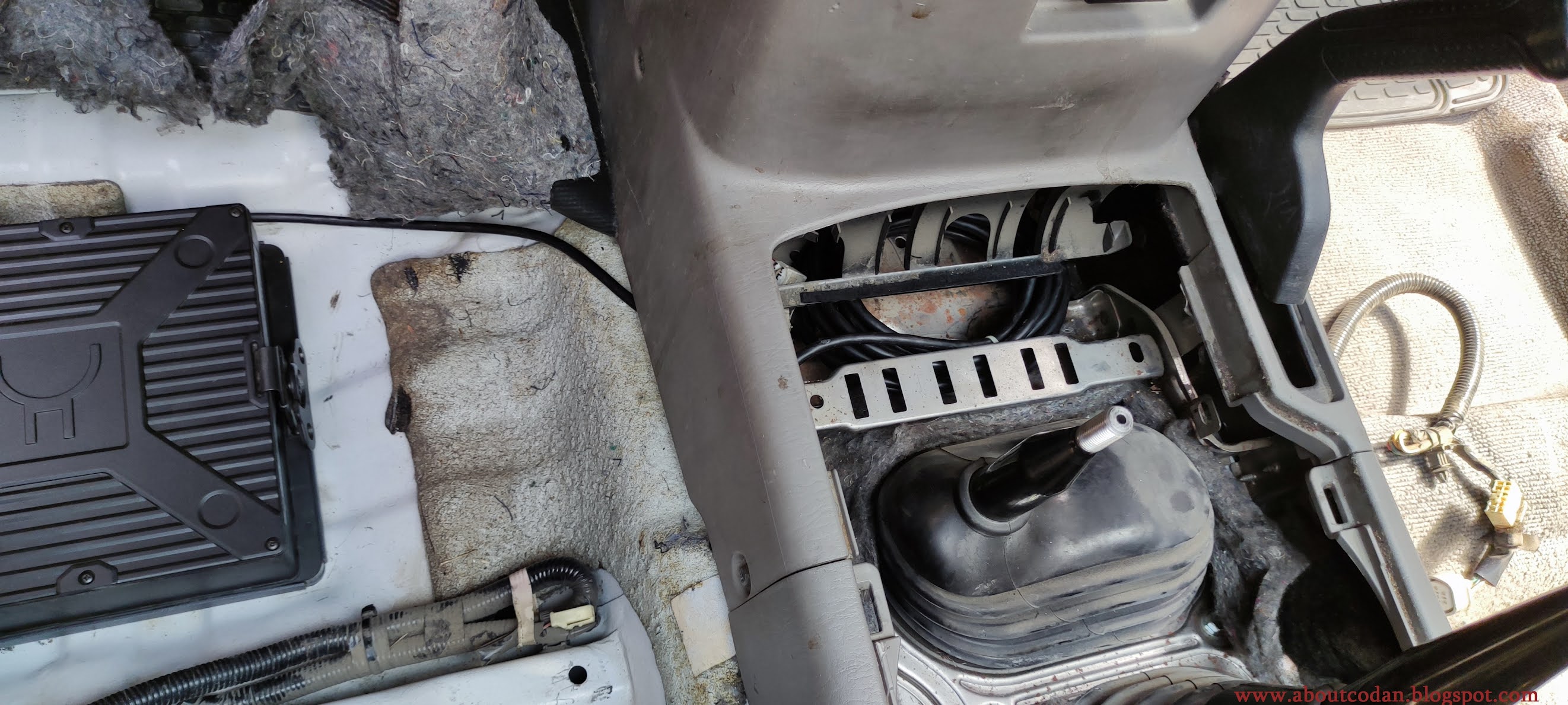 Everything about CODAN