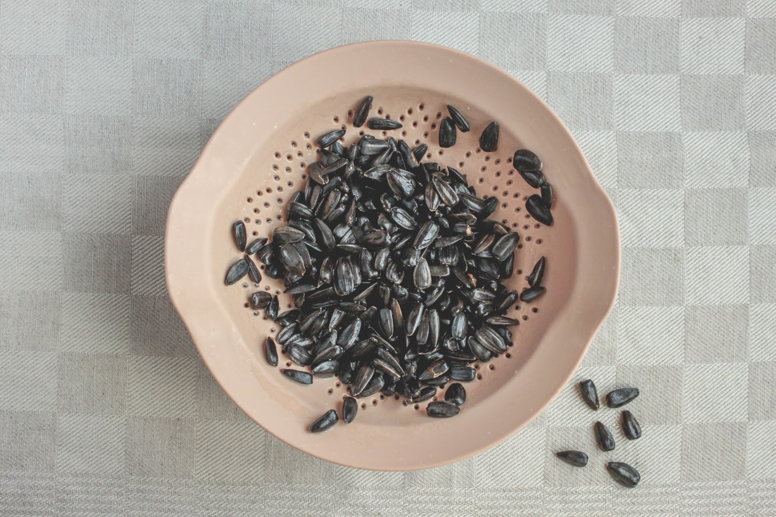 every special day: saulėgrąžų daiginimas - pilna instrukcija