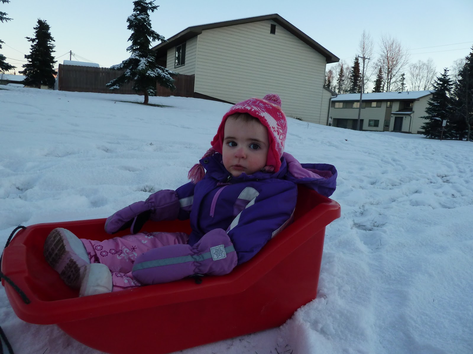 HeckLures' Northern Adventures: Wordless Wednesday: Baby Snow Bunny