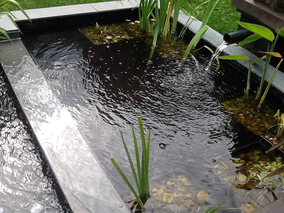 Anoxic Filtration System: 2016