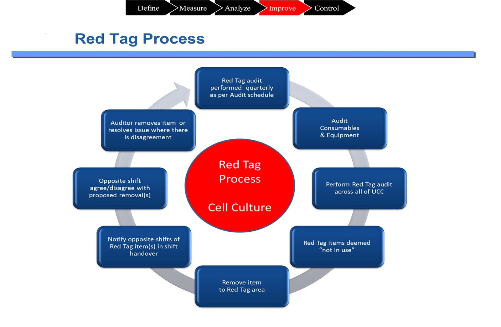 Lean Project: The Introduction of 5S into Cell Culture